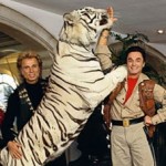 Tiger that Injured Roy of Siegfried & Roy Dies - Las Vegas News and ...